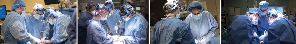 Dr. Marcus Bernardini | Gynecologic Oncology